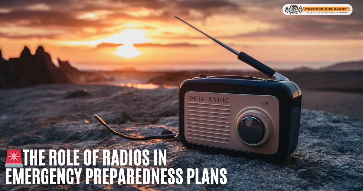 🚨The Role of Radios in Emergency Preparedness Plans