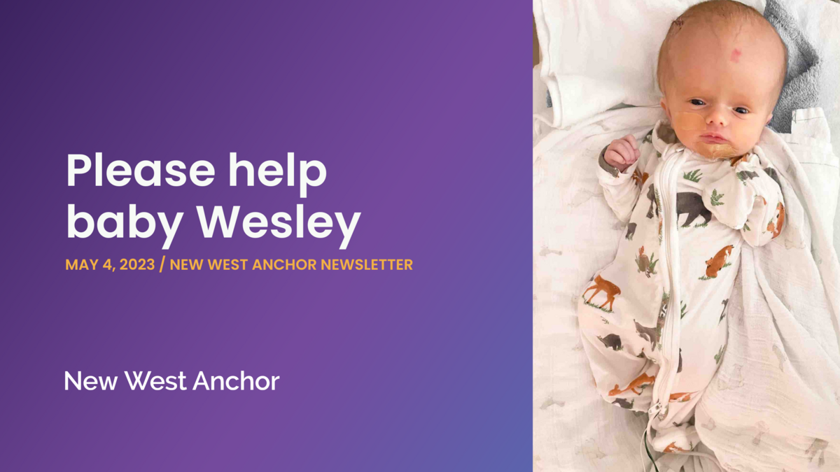 ⚓ Please help baby Wesley