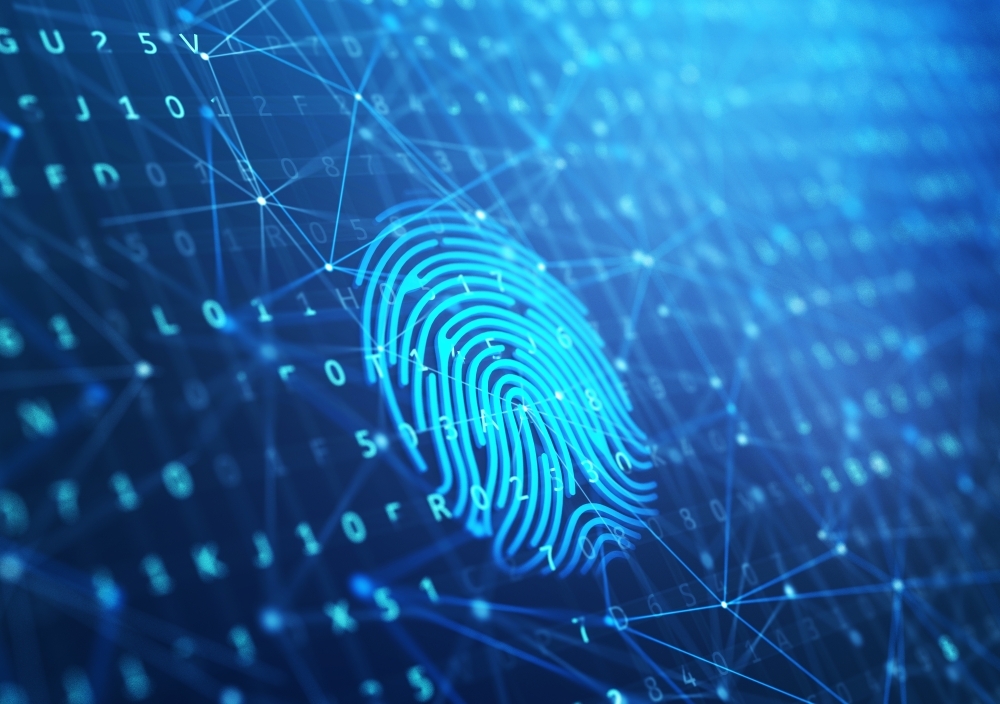AI in Digital Identity Verification
