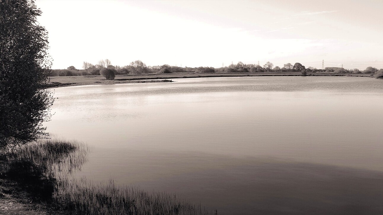 Upon Further Review, Maybe the CMS Webpage on MPPP Is Kind of a Mess