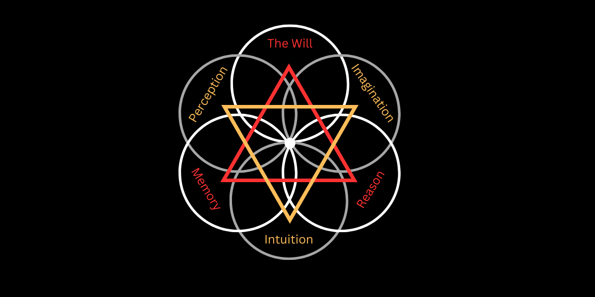 Do You Remember Your Dreams?