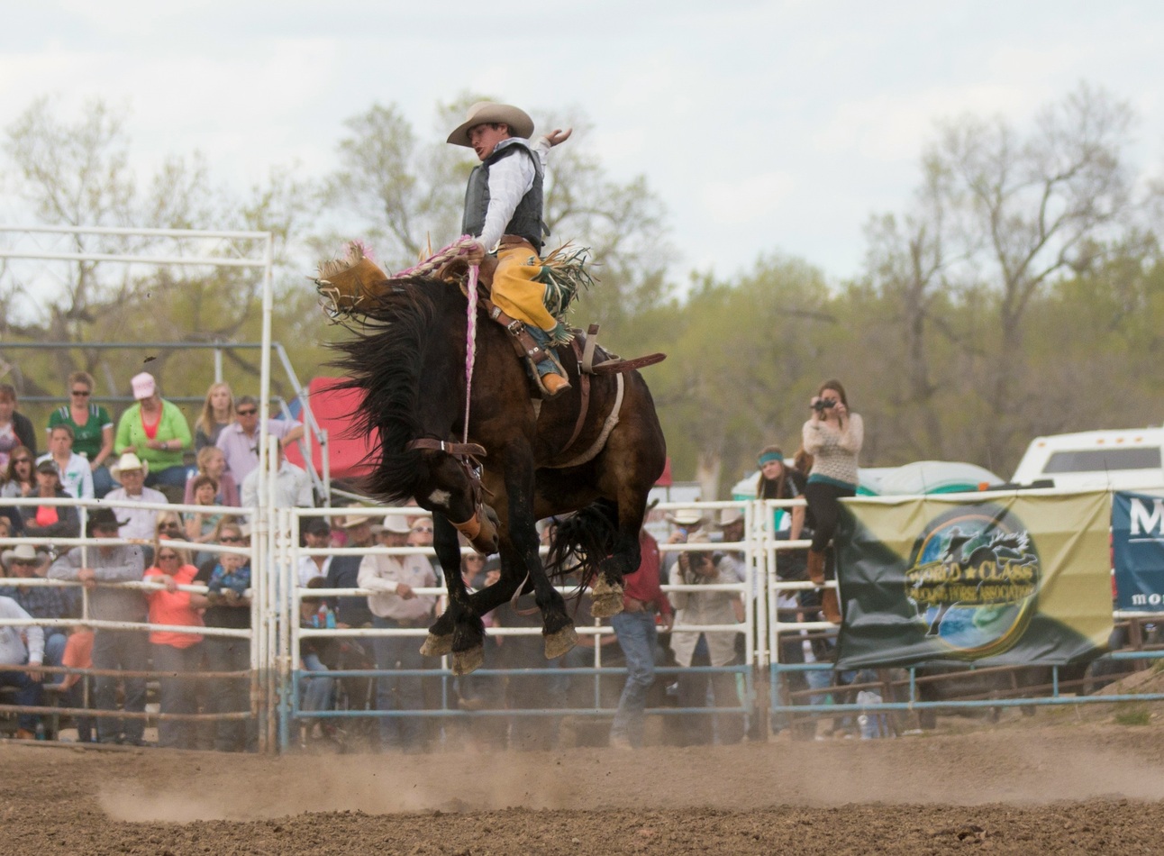 Isa Rodeo - Voluntary Administration