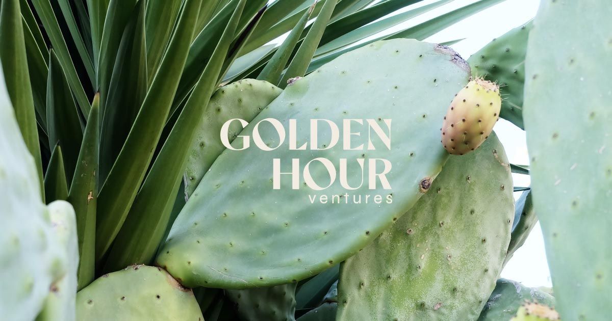 Golden Hour Ventures: The Flow: Summer Slide