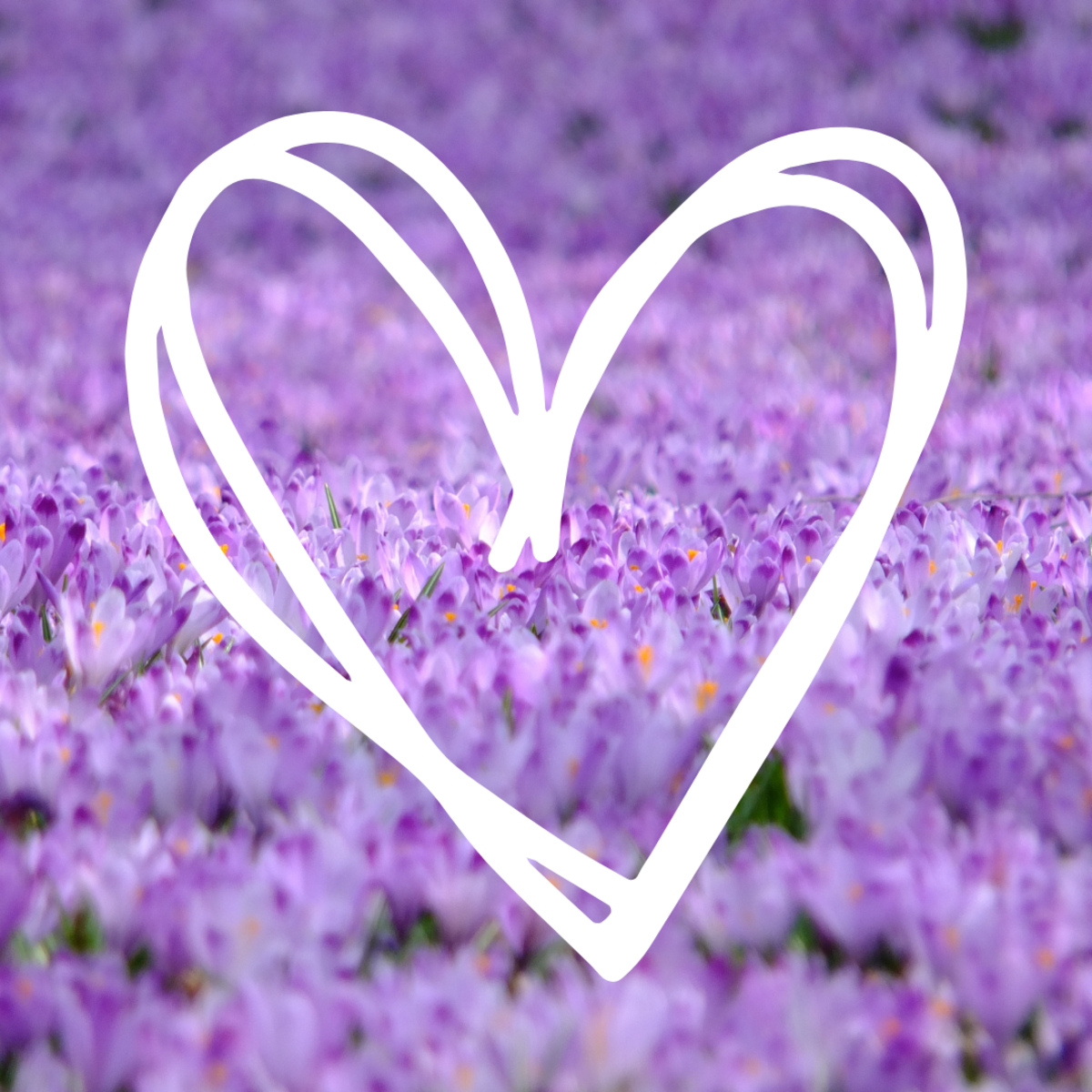 FUNdraising Geek, February 2023