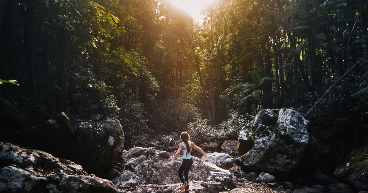 The first 'Seeding ACTion' newsletter