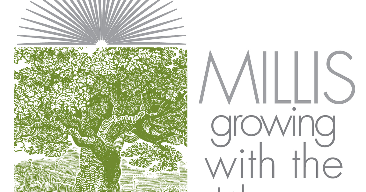 MPL: Creatives Abound