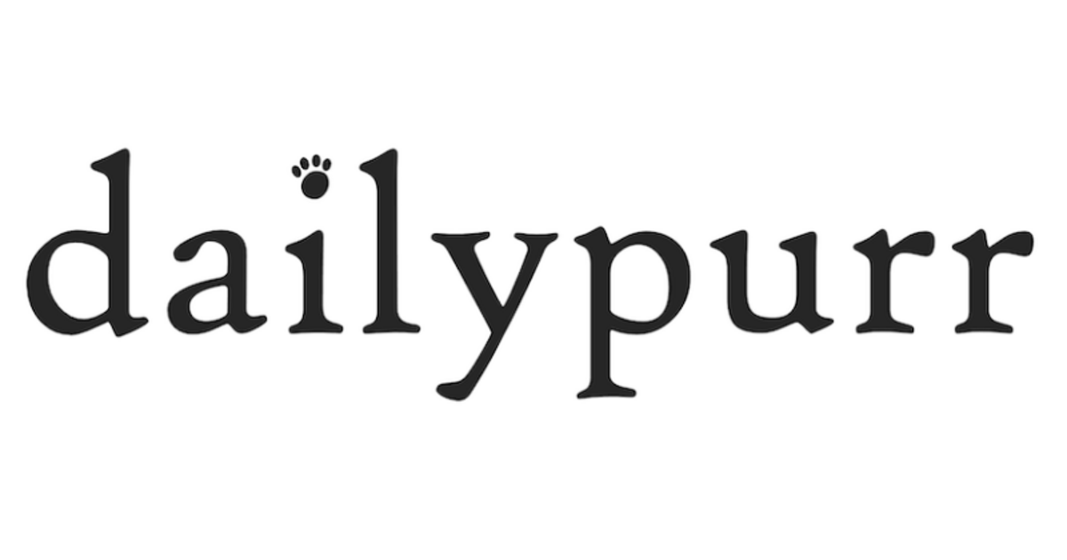 🐈 Cheeto the cat returns home