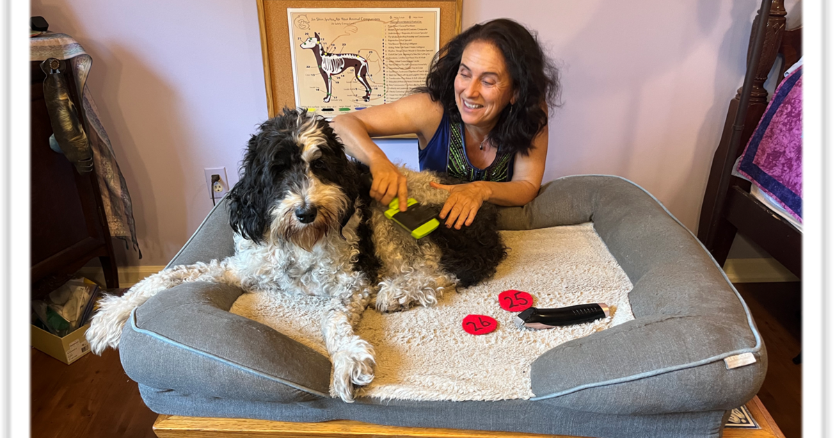 Anchor Step Class Reminder (copy 02)