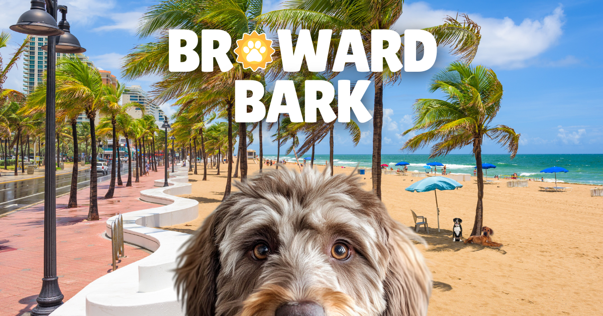 🐕 Are you going Saturday? Meet me