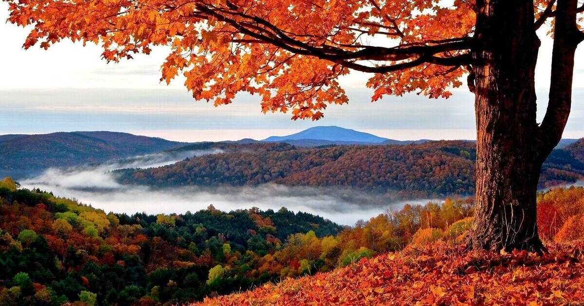 Southern Progressives