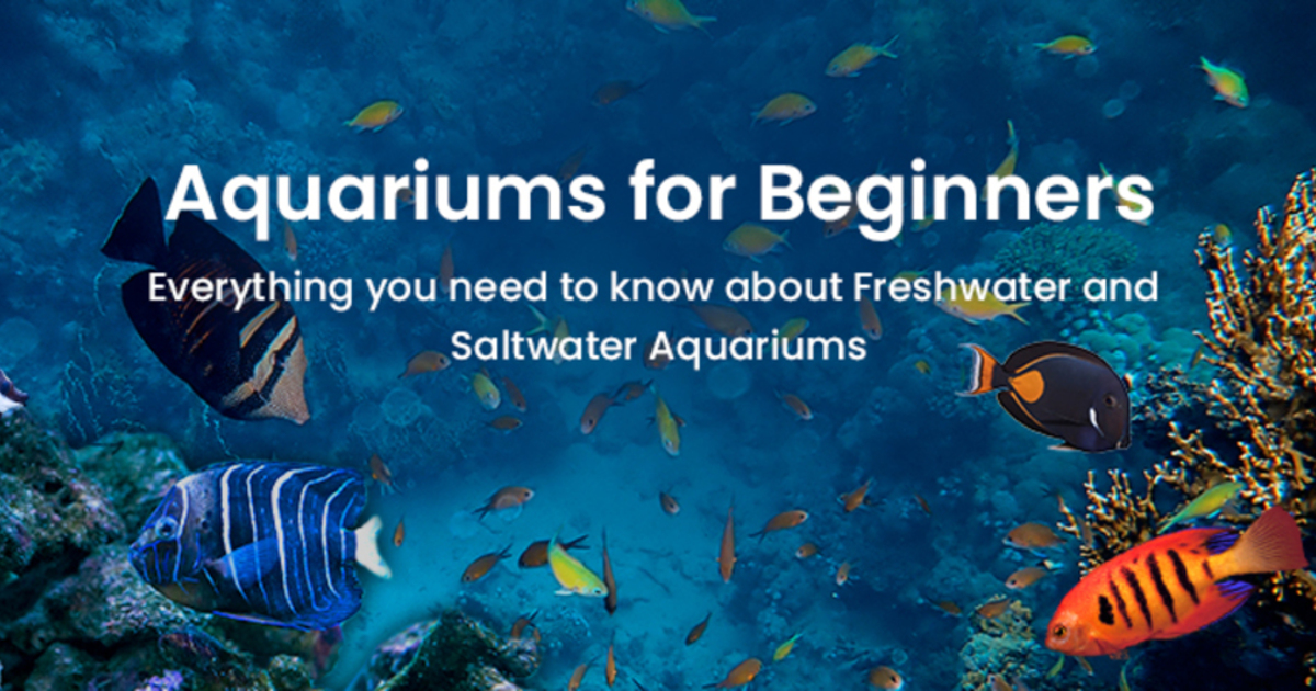 🧪 pH, GH, KH... WHAT Does It All Mean?