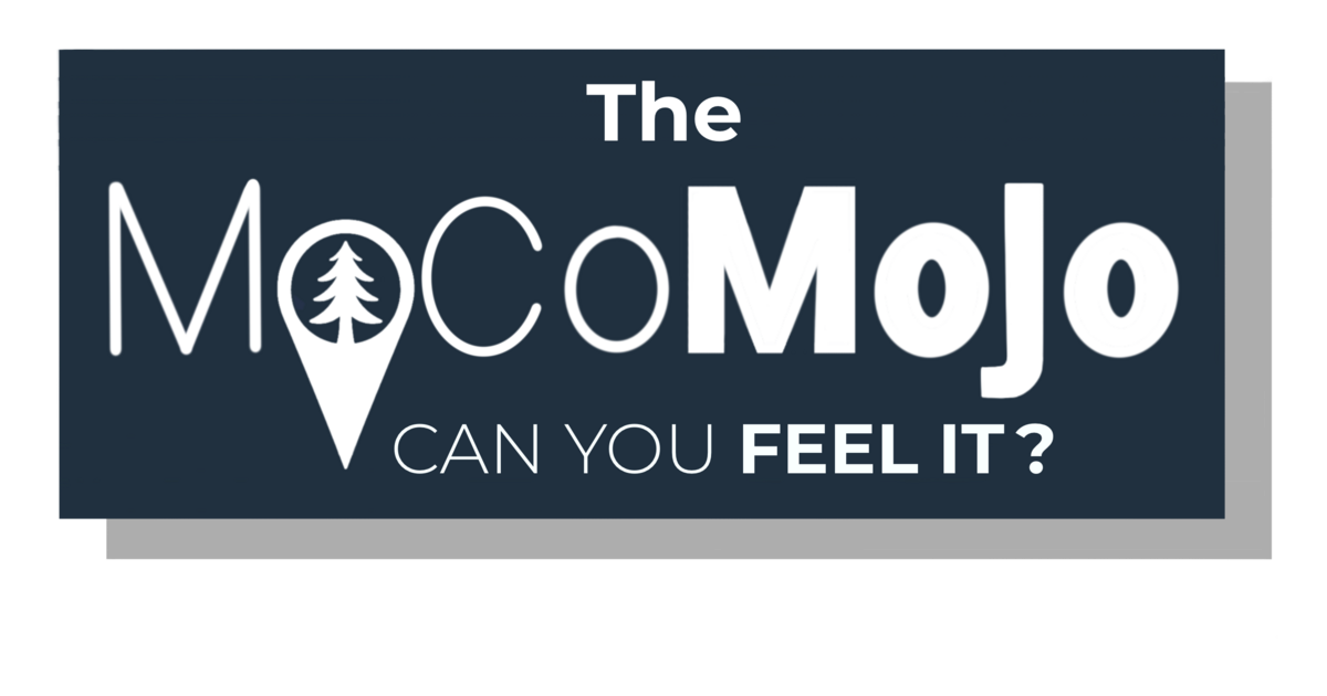 📍Is this a work by Remy? 🐀