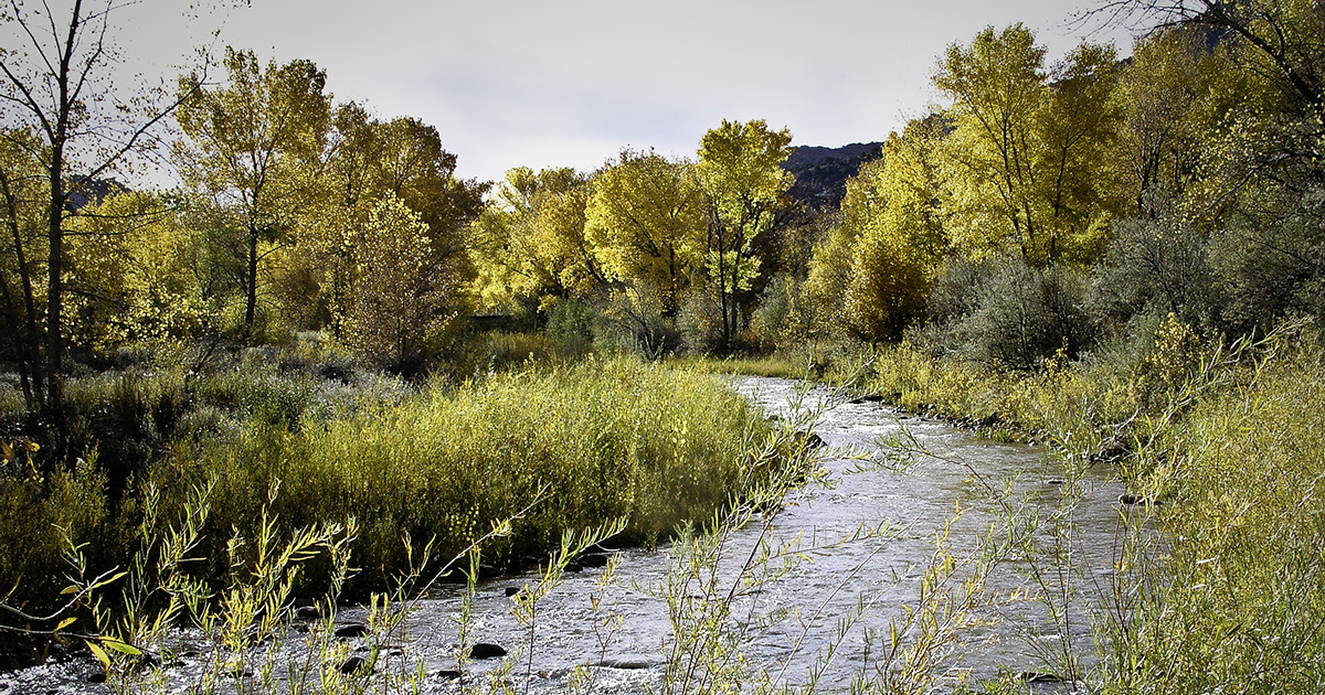 Embudo Valley Town Crier