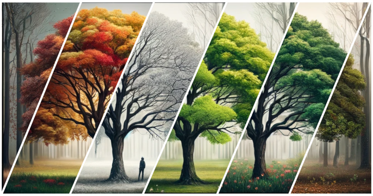 Les 4 Saisons - Février 2024