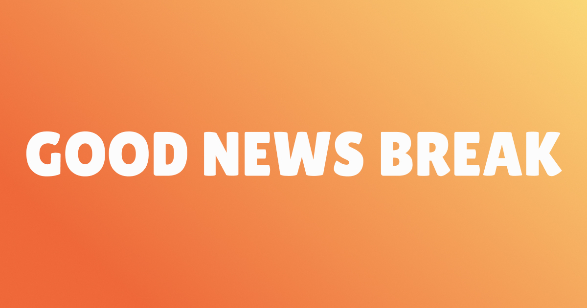 🛳️ Unsinkable Ships?