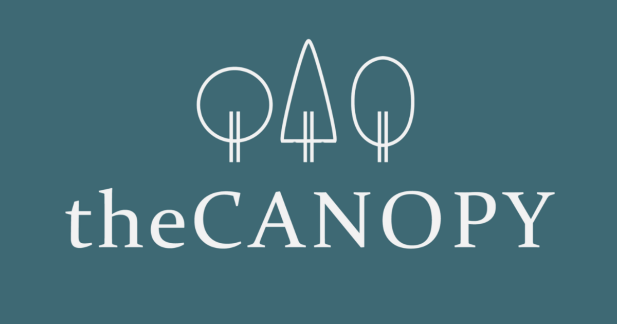 🌳 A cozy, screen-free hobby