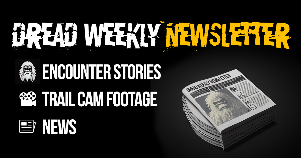 Weekly Update 072: Here's What you Missed