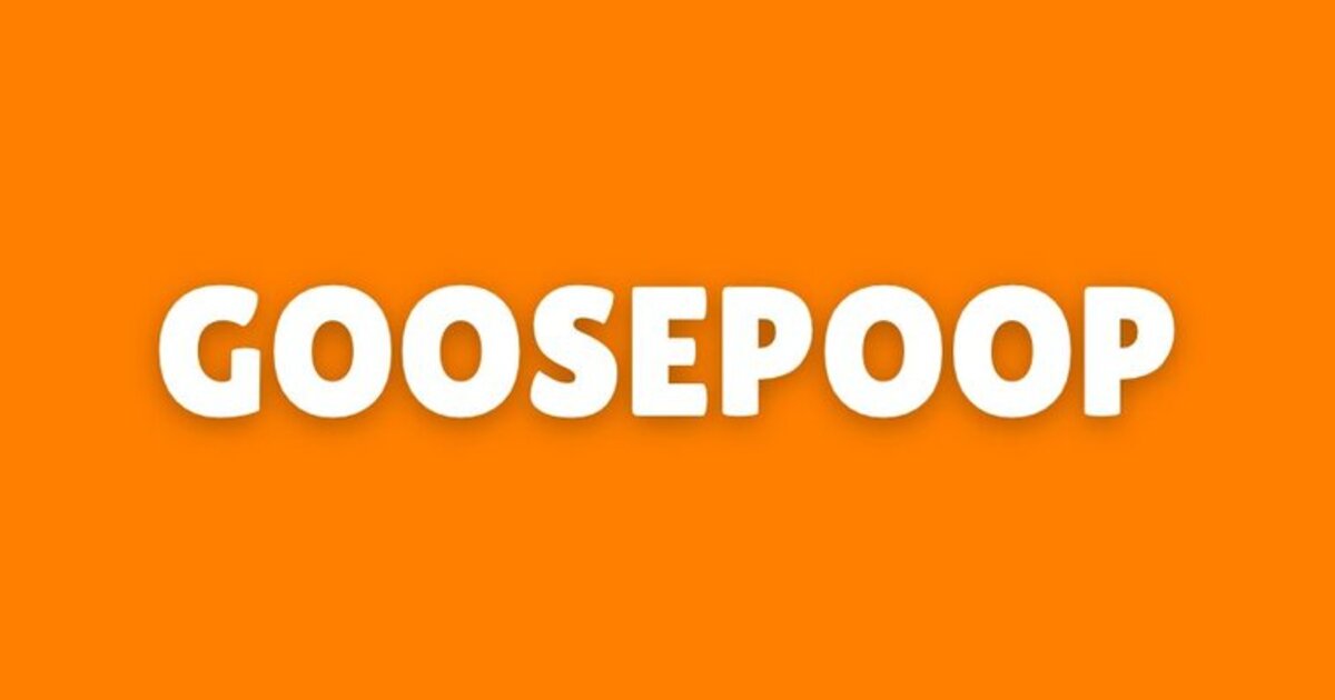 Goosepoop: Year 1