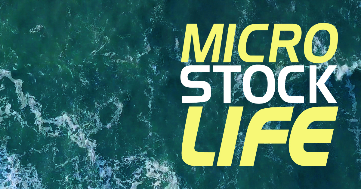 Top-Selling Themes and Microstock Agency Report Card