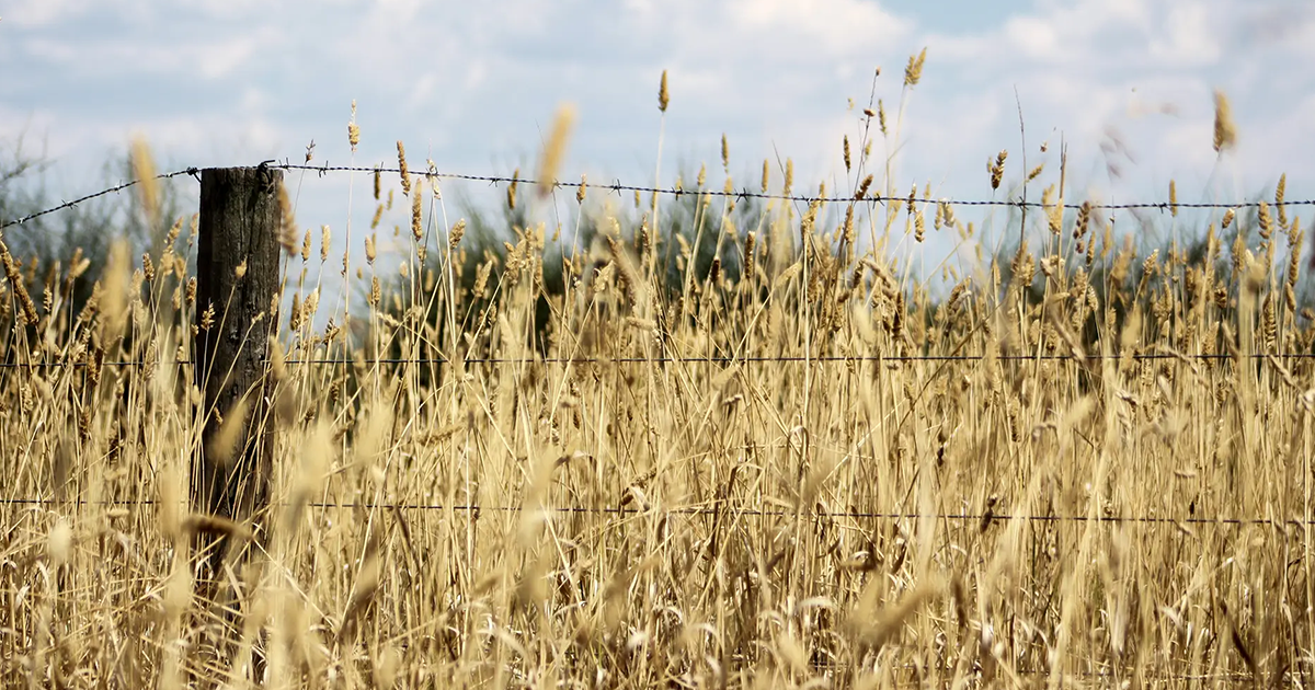 No 613 - Friday's Club Notes