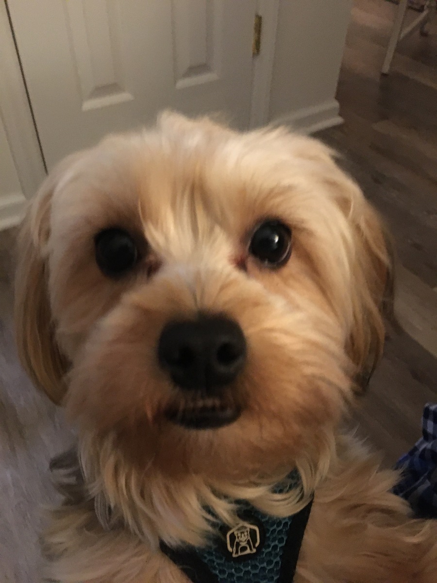 Home [www.theaienterprise.io]